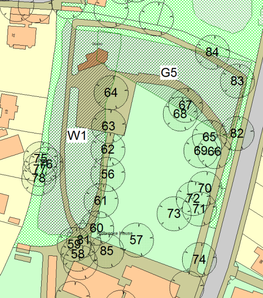 Tree plan (2019) – Friends of Mycenae Gardens